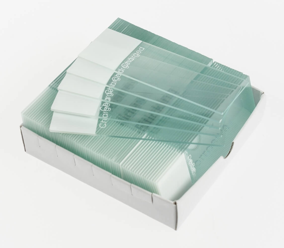 CrystalCruz™ Micro Slides | SCBT - Santa Cruz Biotechnology