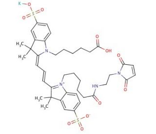 Cyanine 3 Maleimide, Potassium Salt | SCBT - Santa Cruz Biotechnology