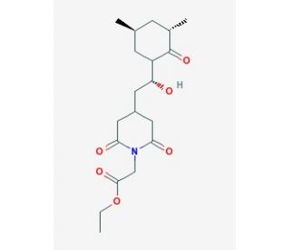 Cycloheximide-N-ethylethanoate | SCBT - Santa Cruz Biotechnology