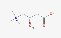 D-Carnitine | CAS 541-14-0 | SCBT - Santa Cruz Biotechnology