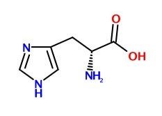 Histidine Lewis Dot Structure