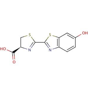 D-Luciferin | CAS 2591-17-5 | SCBT - Santa Cruz Biotechnology