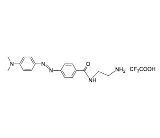 DABCYL C2 amine | SCBT - Santa Cruz Biotechnology