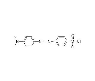 DABSYL chloride | CAS 56512-49-3 | SCBT - Santa Cruz Biotechnology