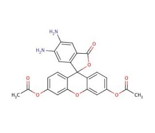 DAF-2 DA (cell permeable) | CAS 205391-02-2 | SCBT - Santa Cruz ...