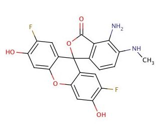 DAF-FM | CAS 254109-20-1 | SCBT - Santa Cruz Biotechnology