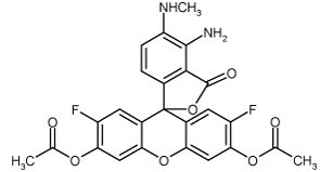 DAF-FM DA (cell permeable) | CAS 254109-22-3 | SCBT - Santa Cruz ...