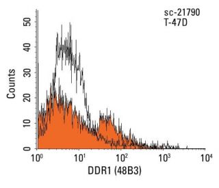 DDR1 Antibody (48B3) - Flow Cytometry - Image 11479