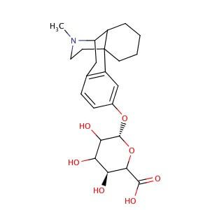 Dextrorphan β-D-O-Glucuronide | CAS 19153-87-8 | SCBT - Santa Cruz ...
