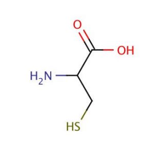 DL-Cysteine | CAS 3374-22-9 | SCBT - Santa Cruz Biotechnology