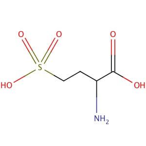 DL-Homocysteic acid | CAS 504-33-6 | SCBT - Santa Cruz Biotechnology
