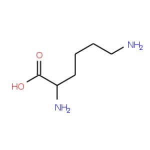 DL-Lysine | CAS 70-54-2 | SCBT - Santa Cruz Biotechnology