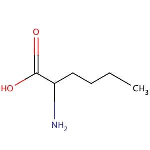 DL-Norleucine | CAS 616-06-8 | SCBT - Santa Cruz Biotechnology