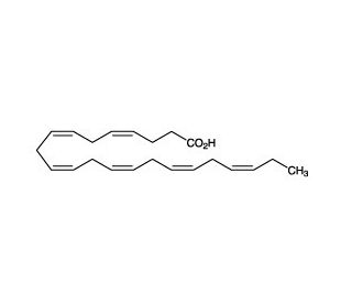 Docosa-4Z,7Z,10Z,13Z,16Z,19Z-hexaenoic Acid (22:6, n-3) | CAS 6217-54-5 | SCBT - Santa Cruz ...
