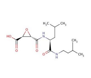 E-64-c | CAS 76684-89-4 | SCBT - Santa Cruz Biotechnology