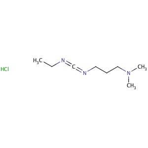 EDC hydrochloride | CAS 25952-53-8 | SCBT - Santa Cruz Biotechnology