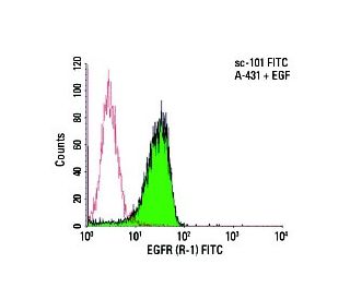 EGFR Antibody (R-1) - Flow Cytometry - Image 8028