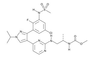 Encorafenib | CAS 1269440-17-6 | SCBT - Santa Cruz Biotechnology