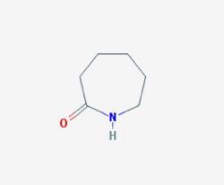 ε-Caprolactam | CAS 105-60-2 | SCBT - Santa Cruz Biotechnology