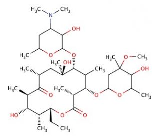 Erythromycin B | CAS 527-75-3 | Santa Cruz Animal Health