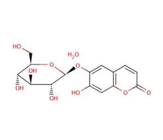 Esculin sesquihydrate | CAS 66778-17-4 | SCBT - Santa Cruz Biotechnology