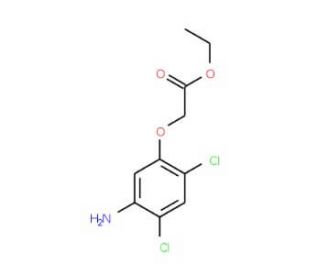 Ethyl 2-(5-amino-2,4-dichlorophenoxy)acetate | SCBT - Santa Cruz Biotechnology