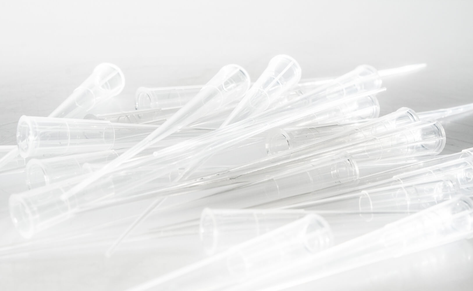 ExactaCruz™ Round Gel Loading Pipette Tips | SCBT - Santa Cruz ...