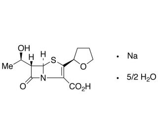 Faropenem Sodium Salt, Hemipentahydrate | CAS 158365-51-6 | SCBT ...