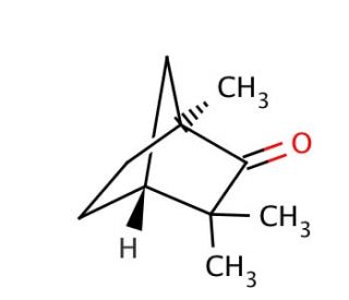 Fenchone | CAS 4695-62-9 | SCBT - Santa Cruz Biotechnology