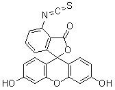 Fluorescein-4-isothiocyanate (FITC-II) | CAS 3326-31-6 | SCBT - Santa ...