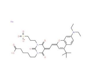 Fluorescent red 610 | CAS 482379-37-3 | SCBT - Santa Cruz Biotechnology
