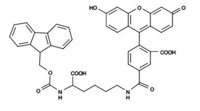 FMOC-Lys(5-FAM)-OH | CAS 1242933-88-5 | SCBT - Santa Cruz Biotechnology