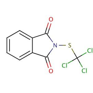 Folpet | CAS 133-07-3 | SCBT - Santa Cruz Biotechnology