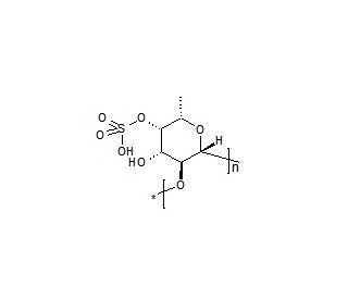 Fucoidan | CAS 9072-19-9 | SCBT - Santa Cruz Biotechnology