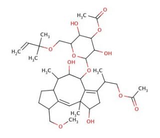 Fusicoccin | CAS 20108-30-9 | SCBT - Santa Cruz Biotechnology