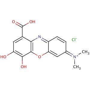 Gallocyanine | CAS 1562-85-2 | SCBT - Santa Cruz Biotechnology