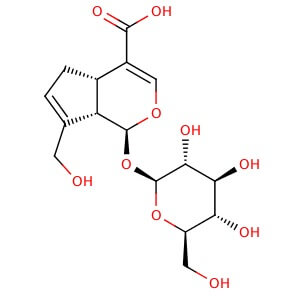 Geniposidic acid | CAS 27741-01-1 | SCBT - Santa Cruz Biotechnology
