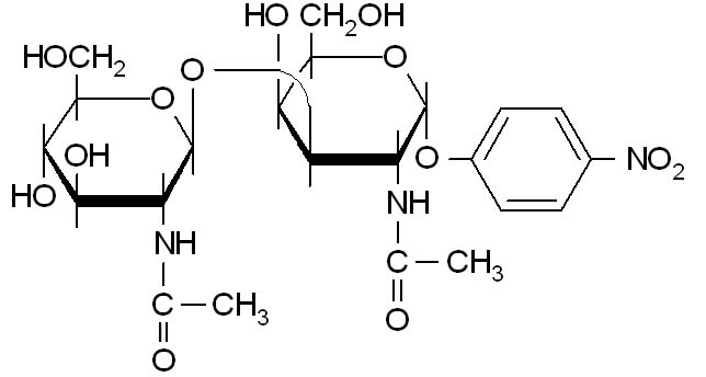 GlcNAc-beta-1,3-GalNAc-α-PNP, CAS 125455-64-3 | SCBT - Santa Cruz ...
