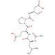Granzyme B inhibitor IV | SCBT - Santa Cruz Biotechnology