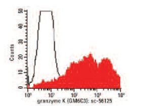 granzyme K抗体 (GM6C3) | SCBT - Santa Cruz Biotechnology