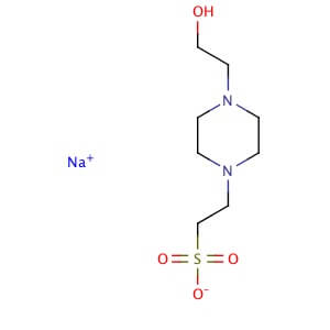 HEPES hemisodium salt | CAS 103404-87-1 | SCBT - Santa Cruz Biotechnology
