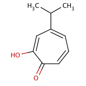 Hinokitiol | CAS 499-44-5 | SCBT - Santa Cruz Biotechnology