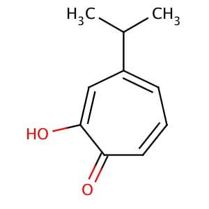 Hinokitiol | CAS 499-44-5 | SCBT - Santa Cruz Biotechnology