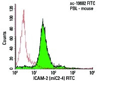 Anti-ICAM-2 Antibody (miC2-4) | SCBT - Santa Cruz Biotechnology