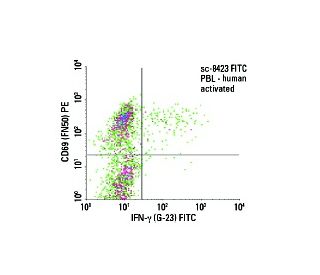 IFN-γ Antibody (G-23) - Flow Cytometry - Image 5795