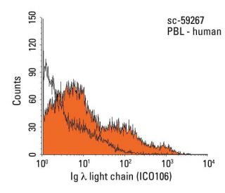 Ig λ light chain Antibody (ICO106) - Flow Cytometry - Image 14940