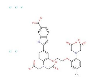 Indo 1 | CAS 96314-96-4 | SCBT - Santa Cruz Biotechnology