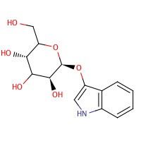 Indoxyl β-D-glucoside | CAS 487-60-5 | SCBT - Santa Cruz Biotechnology