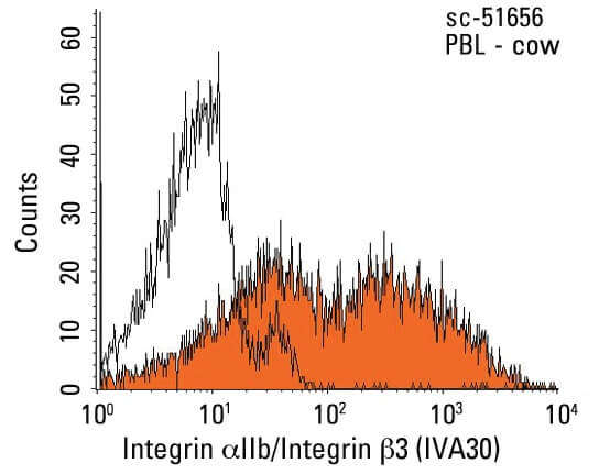 Integrin αIIb/β3/CD41/CD61 Antibody (IVA30) | SCBT - Santa Cruz ...