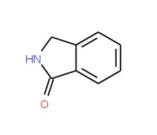 Isoindolin-1-one | CAS 480-91-1 | SCBT - Santa Cruz Biotechnology